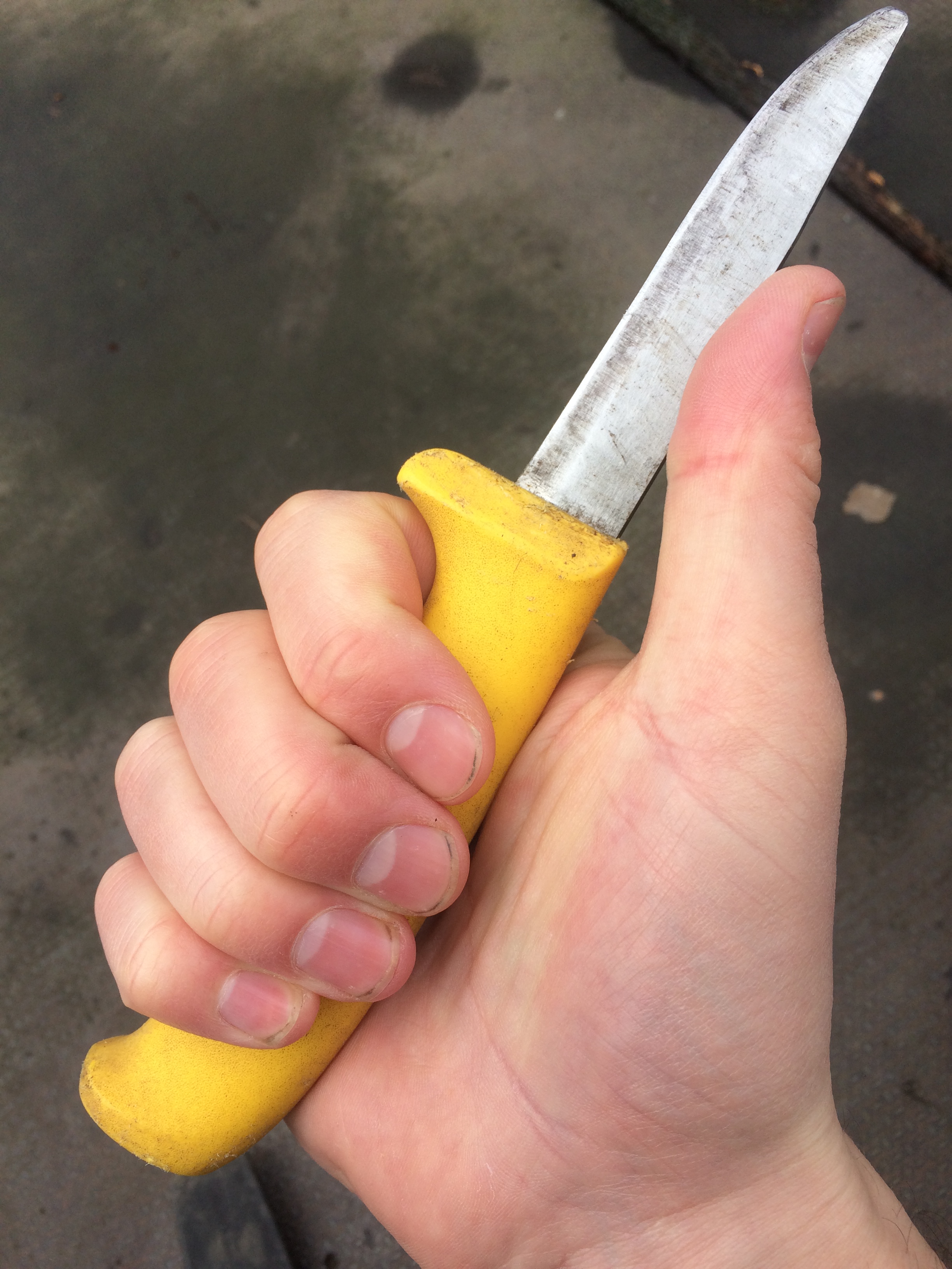 Knife Basics