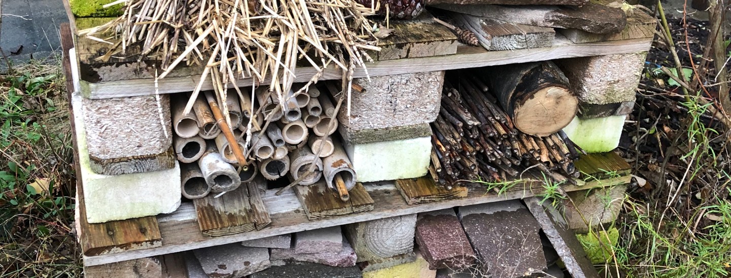 Developing Your Outdoor Learning Space Using Wooden Pallets
