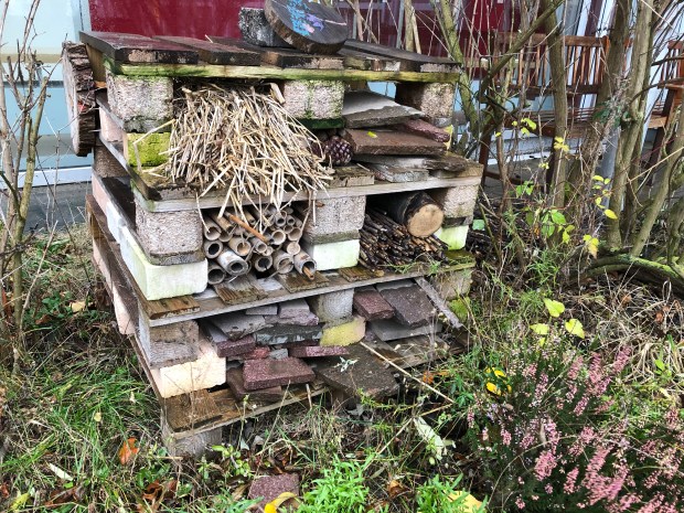 Developing Your Outdoor Learning Space Using Wooden Pallets