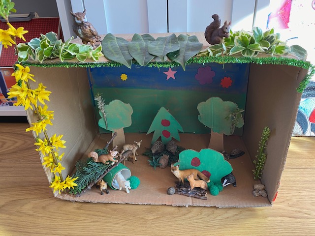 Outdoor Learning from a distance: What our eLearning looks like.